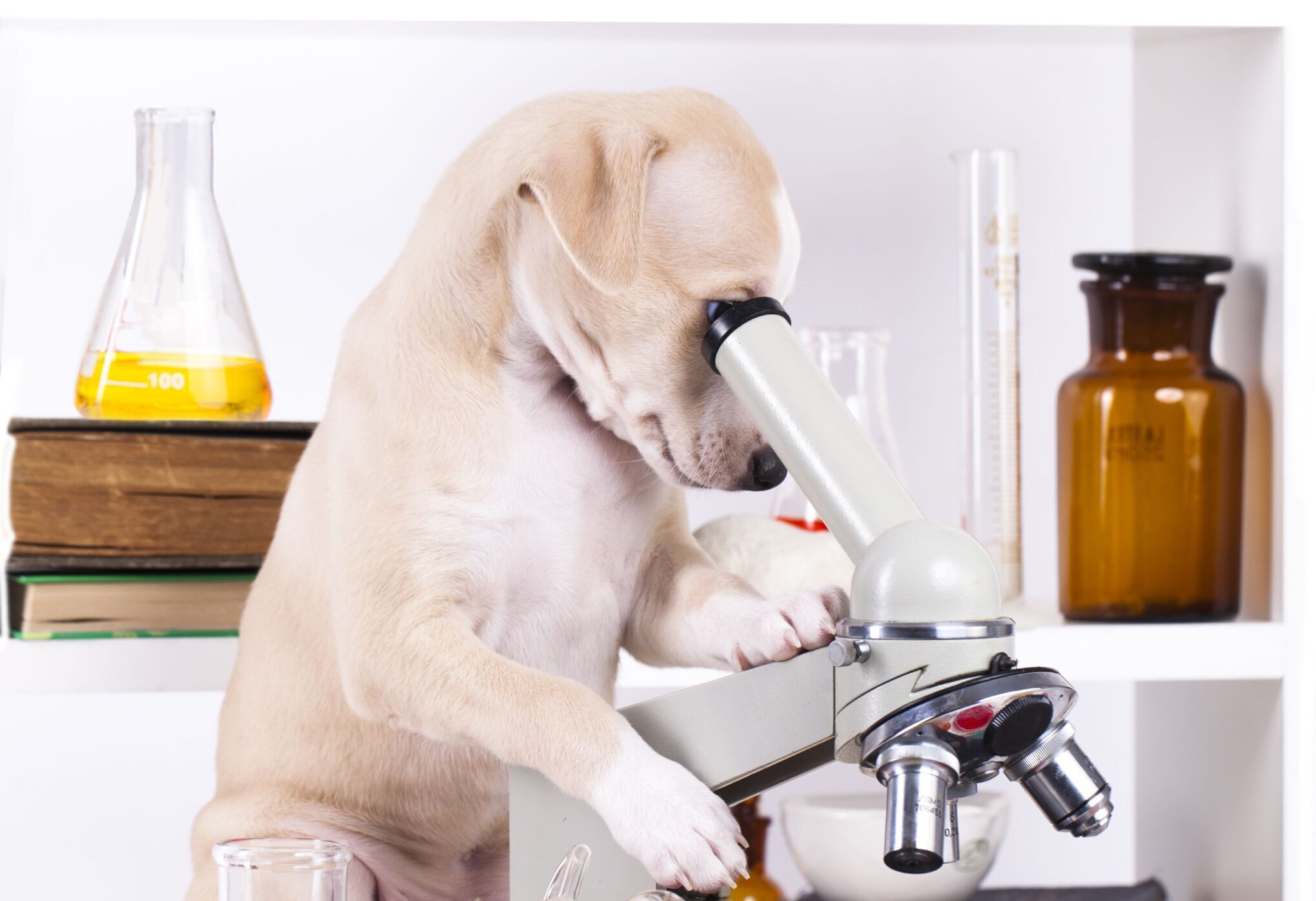 WSLH Proficiency Testing - Laboratory Proficiency Testing